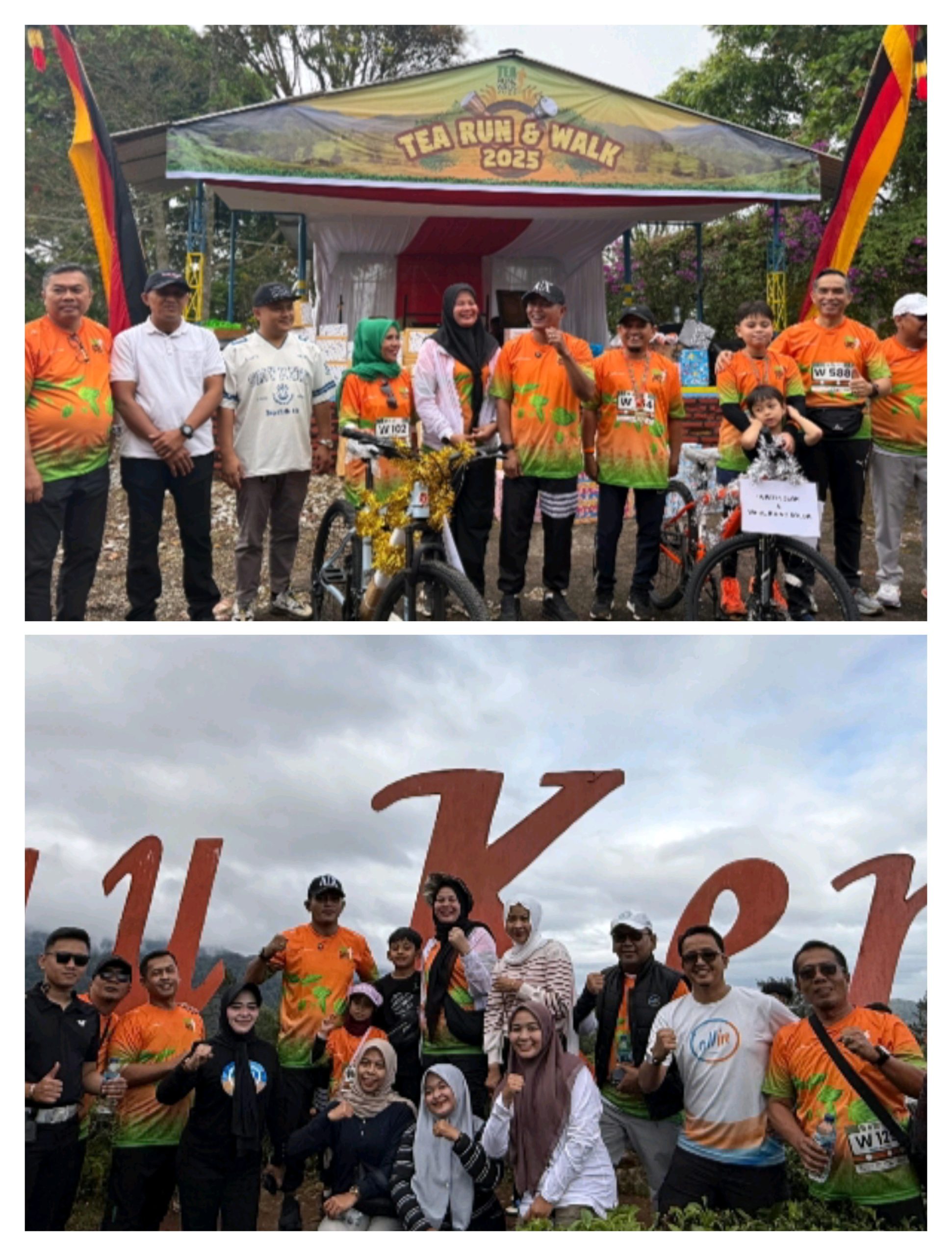Event 'Tea Run & Walk 2025' di Kebun Teh Danau Kembar Berlangsung ...